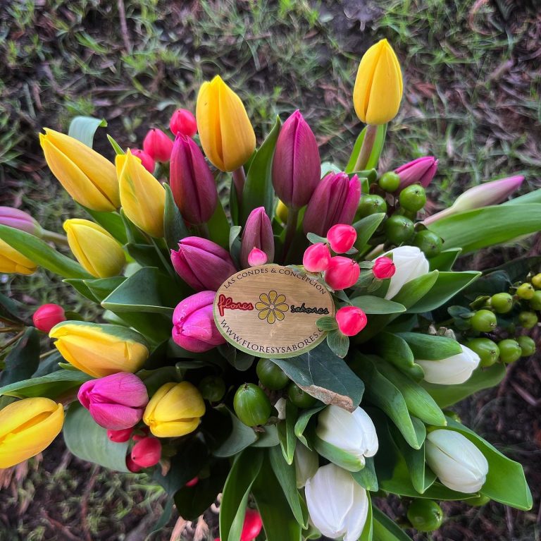 Premium - Flores y Sabores